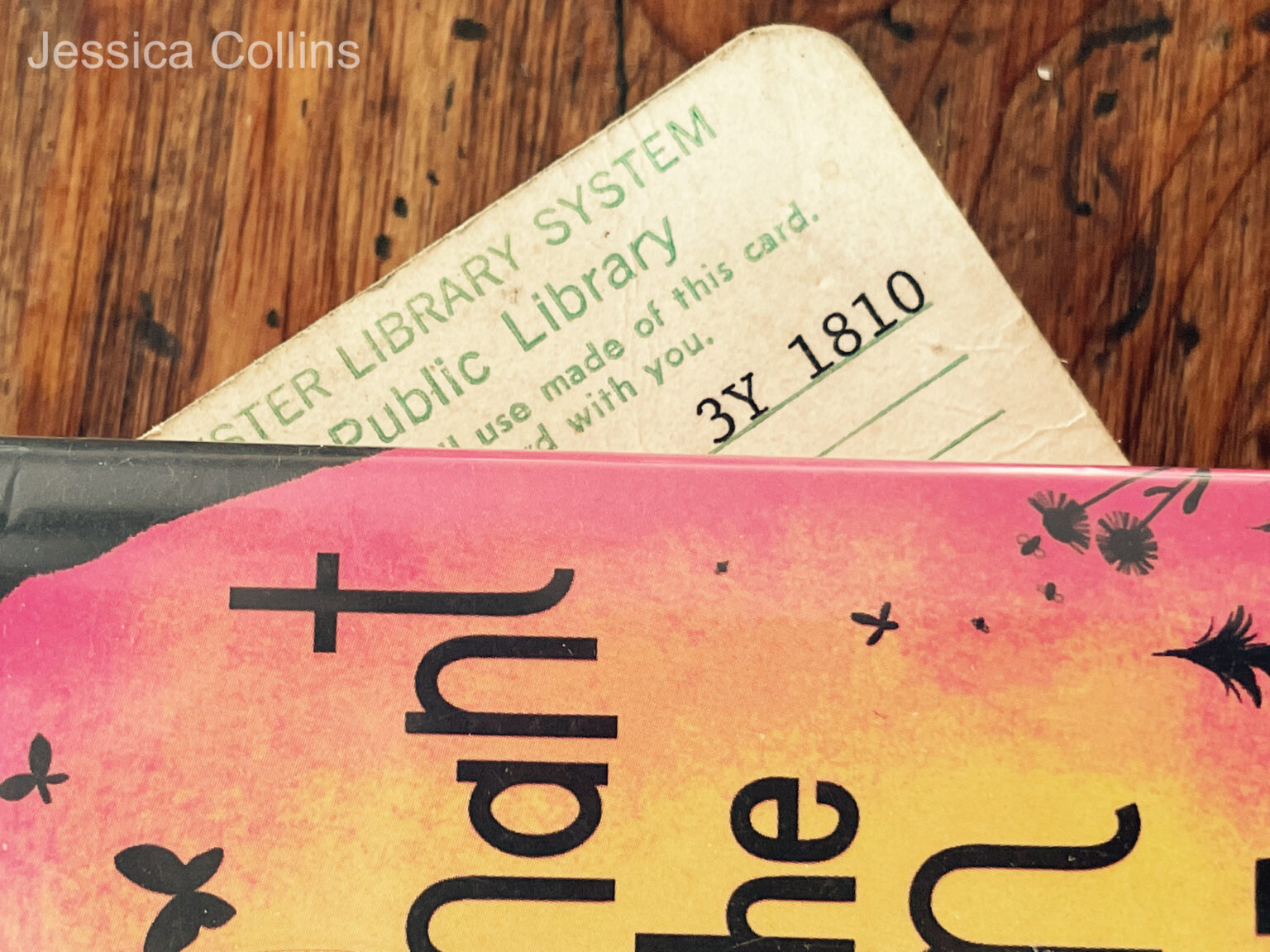 My First Library Card – On the Children's Shelf